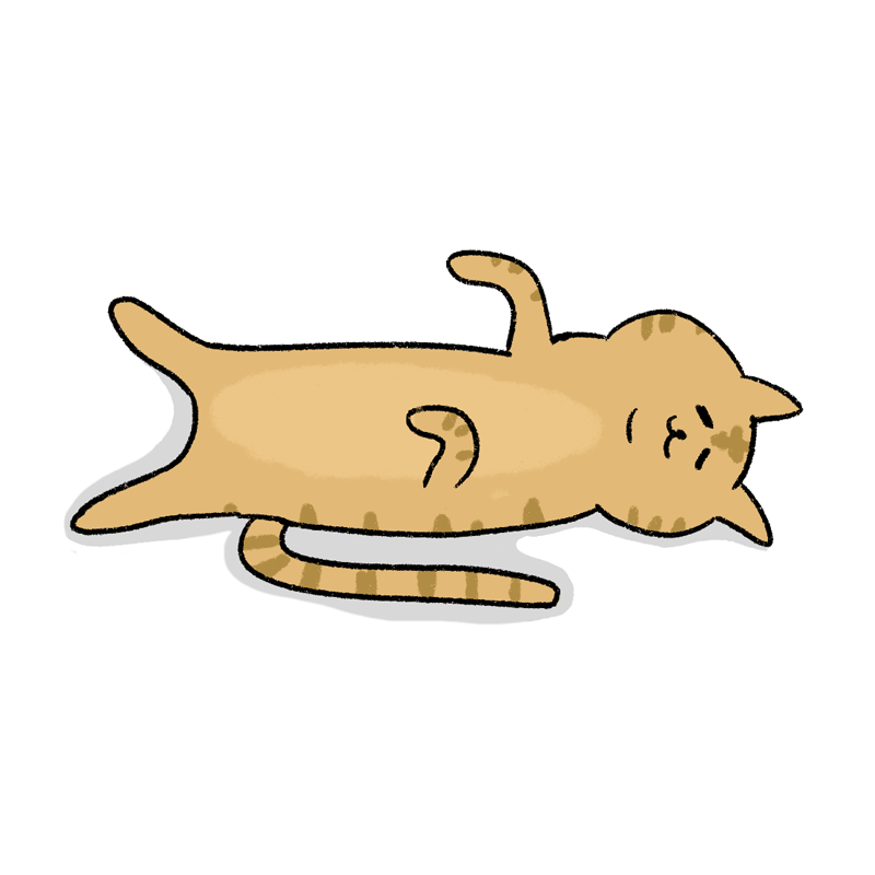 後ろ姿の茶トラのネコのイラスト Onwaイラスト